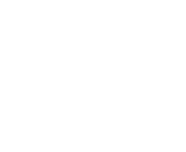 CRIC (Charleroi) – CRVI